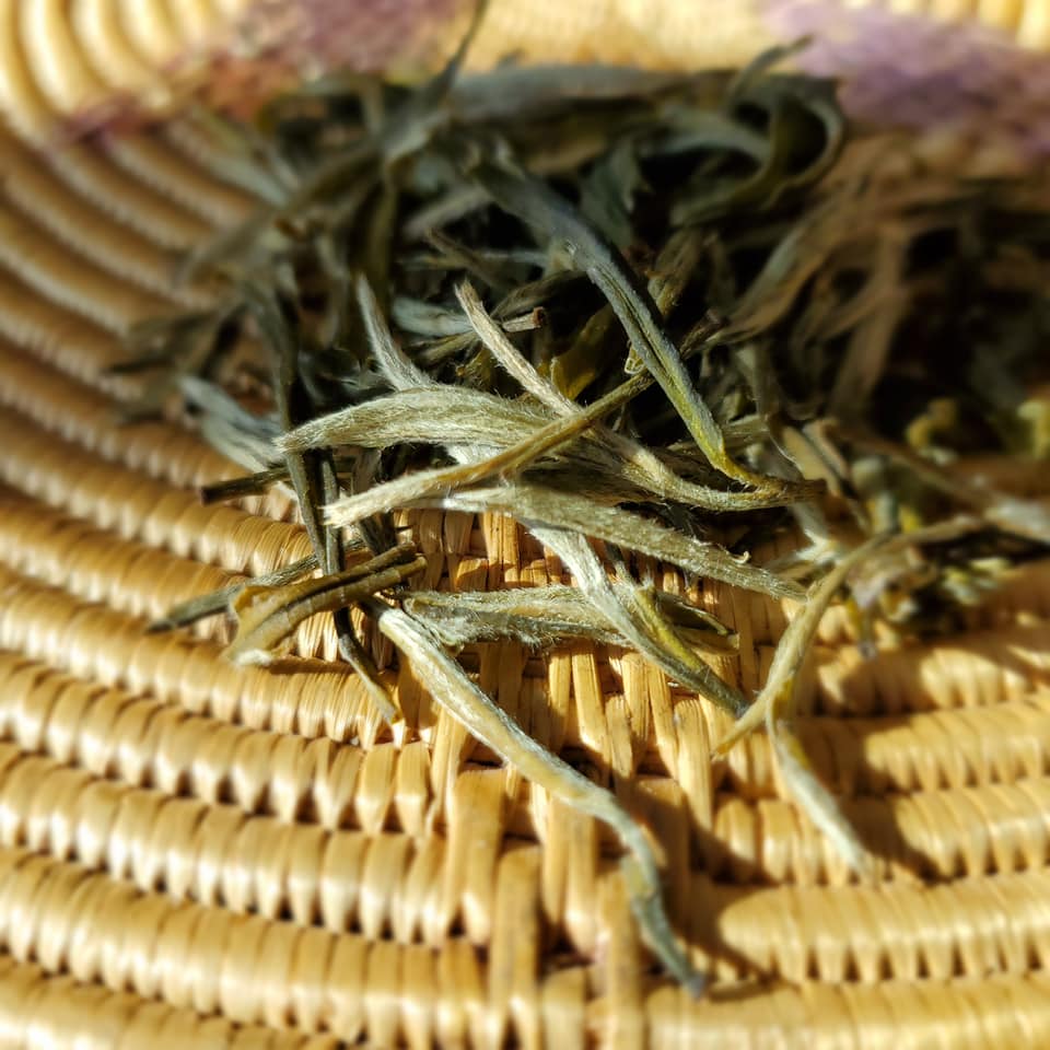 fuzzy-tea – TeaTiff